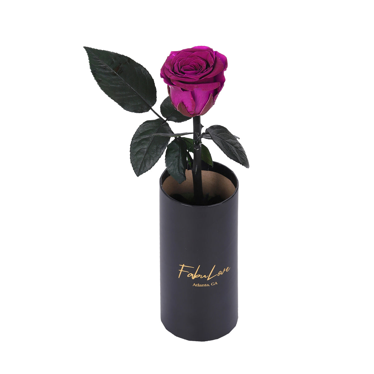 Classic Single Eternal Rose – FabuLove